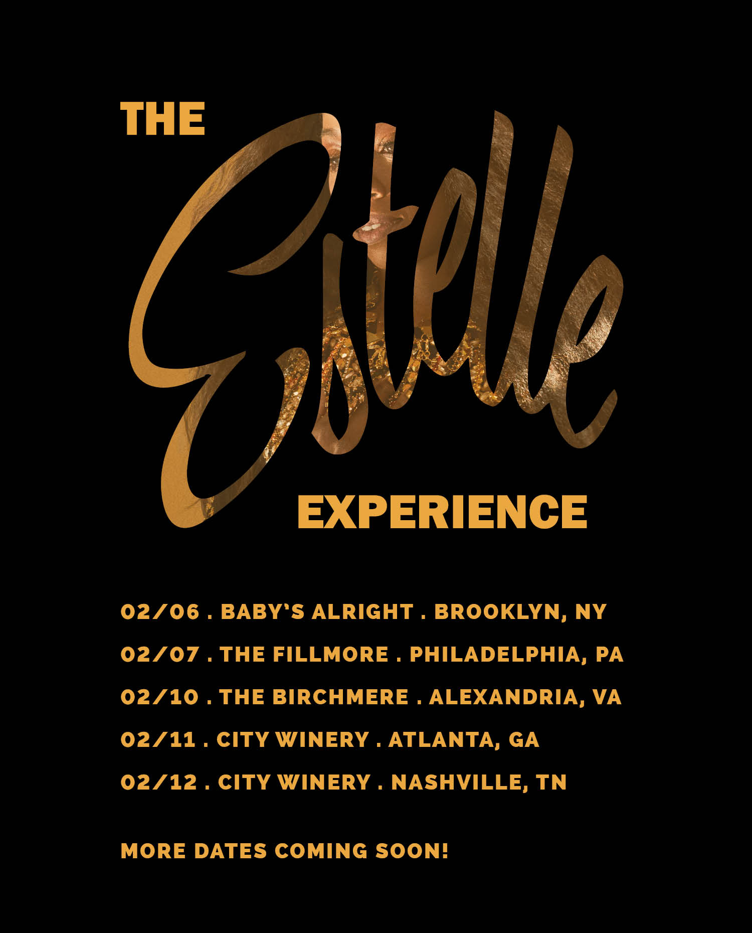 The Estelle Experience Launches in New York February 6th- Grammy ...